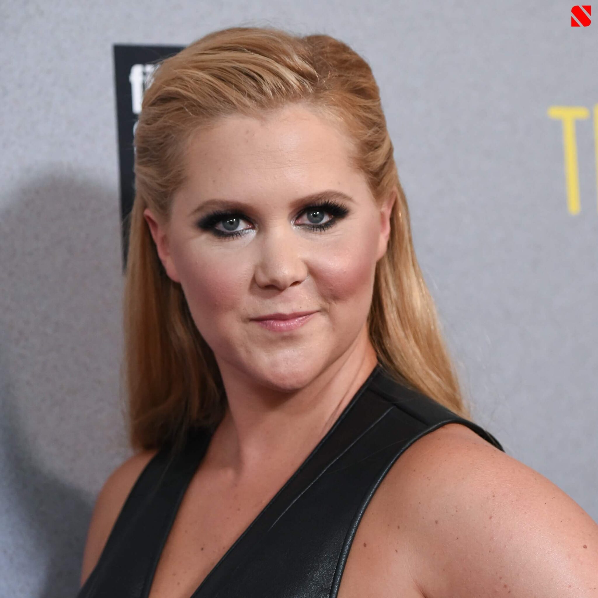 Amy Schumer ️ Biografía resumida y corta
